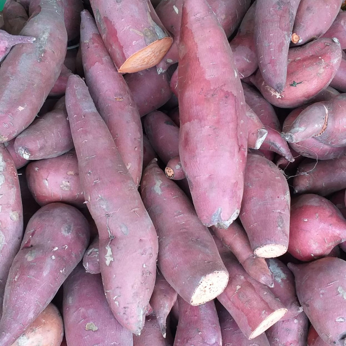 Camote amarillo-naranja 1 Kg — Click Abasto