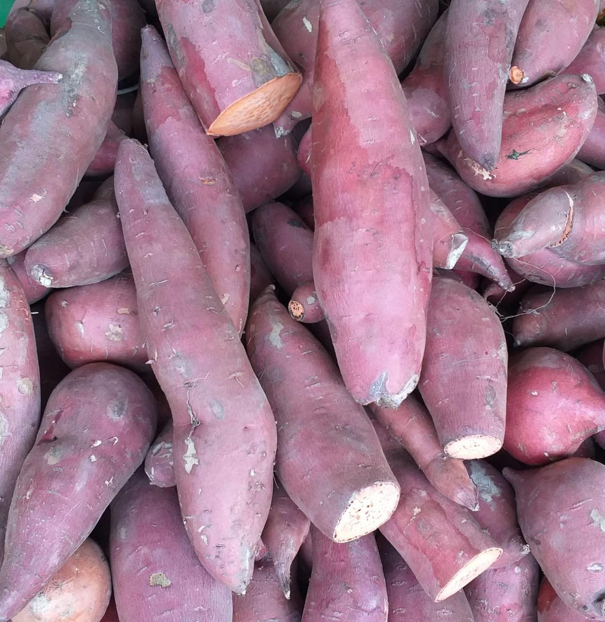 Camote amarillo-naranja 1 Kg — Click Abasto