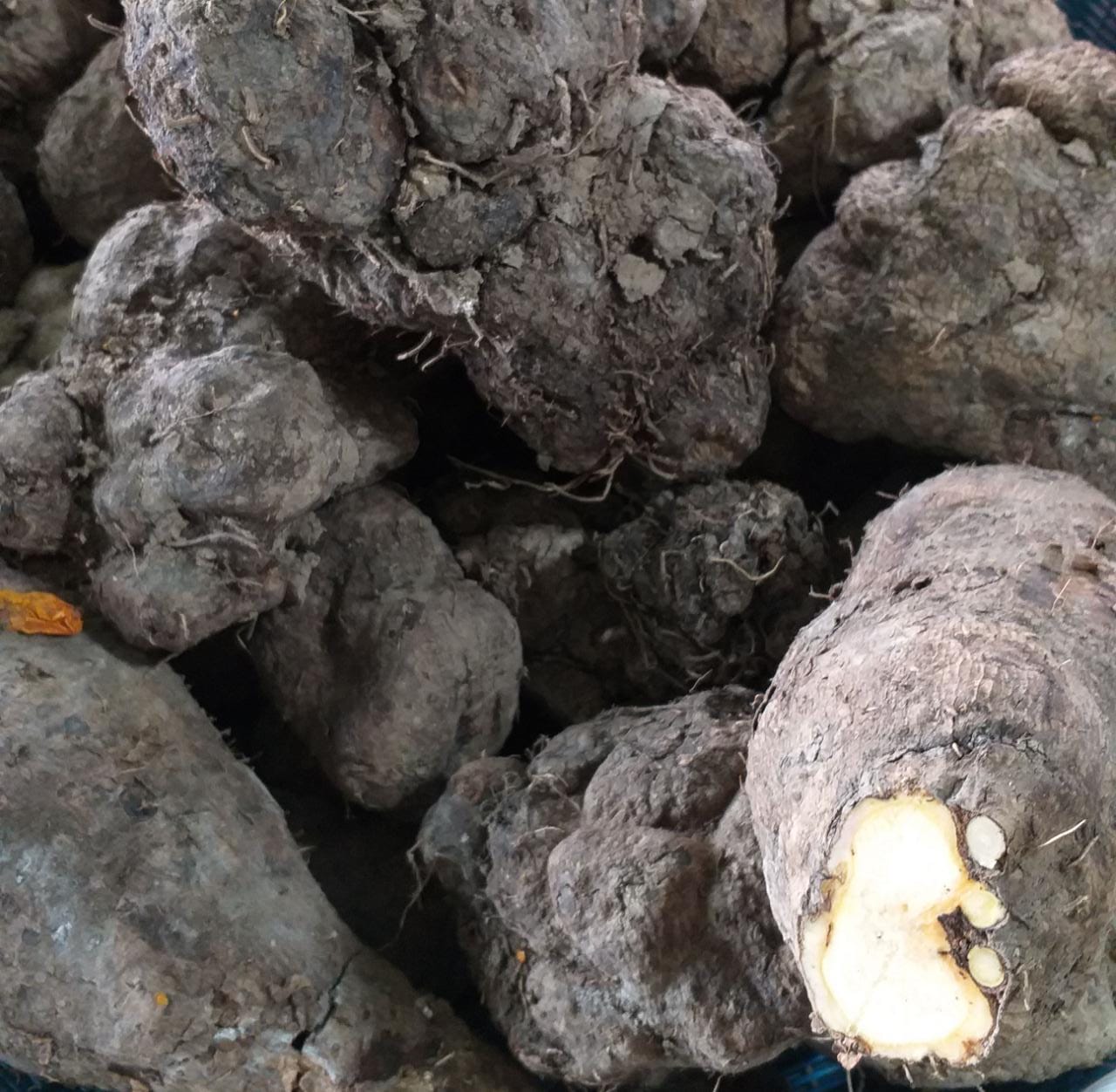 Gourmet — Click Abasto