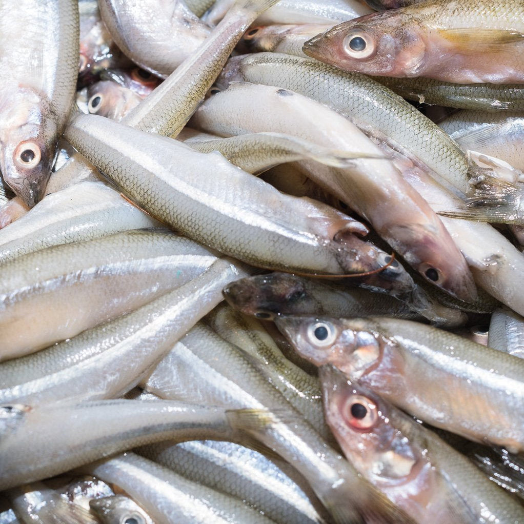 Charal fresco por 1 Kg — Click Abasto