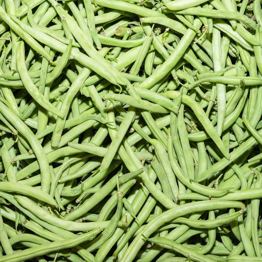 Ejote — Click Abasto