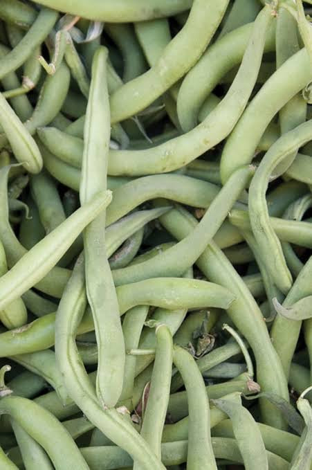 Costal de ejote 30 kg — Click Abasto