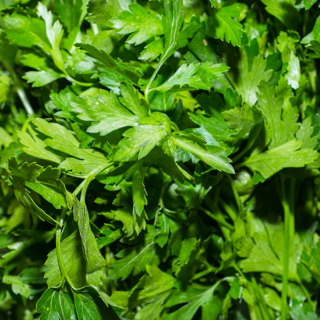 Perejil 100 gramos — Click Abasto