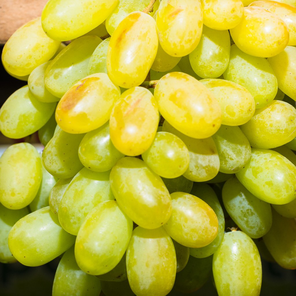 Uva verde — Click Abasto